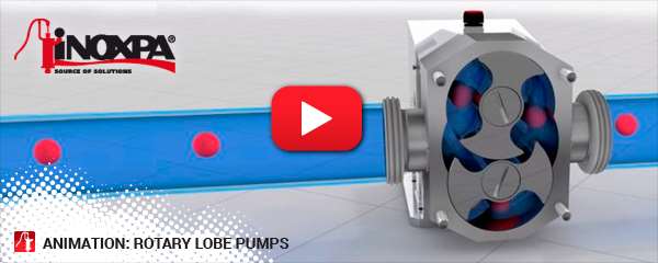 Lobe Pump Animation